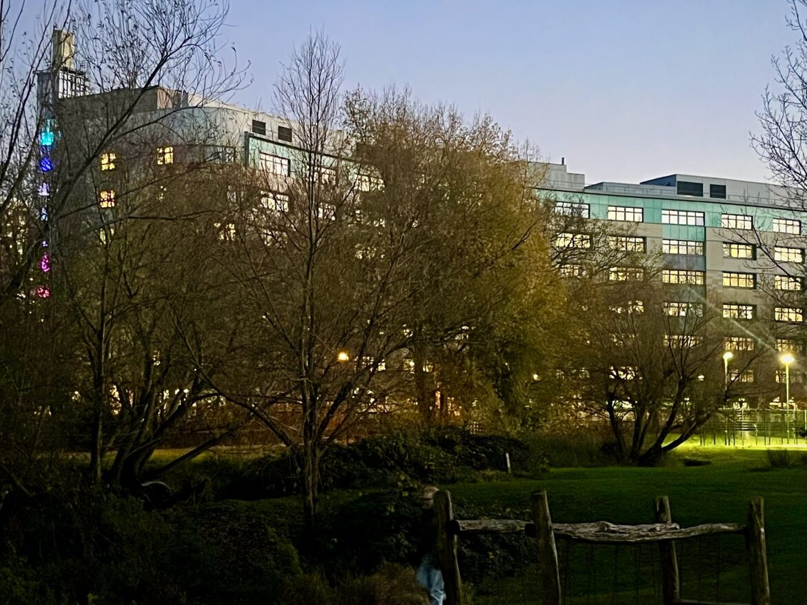 Lewisham hospital plans groumd source heat pump project which involves ...